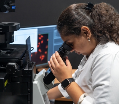 Integrated Master of Science - Biological & Life Sciences