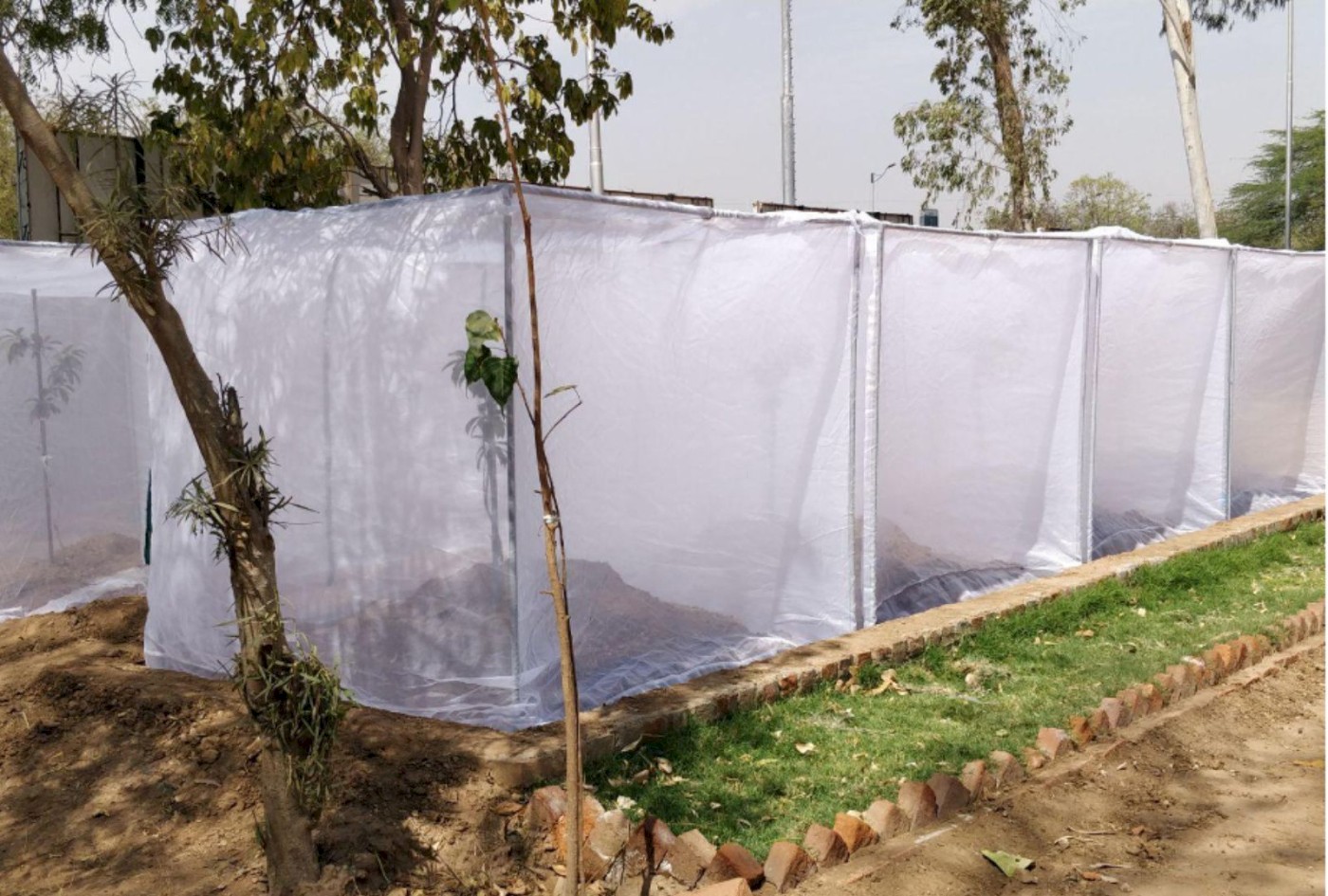 Contemporary Climatic Trends Might Predict Ectothermic Insects ...