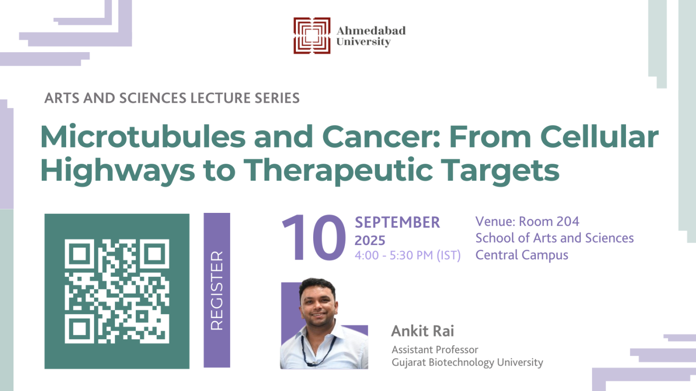 Microtubules and Cancer: From Cellular Highways to Therapeutic Targets